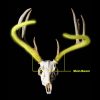 How to Score a Deer: The Antler Scoring System