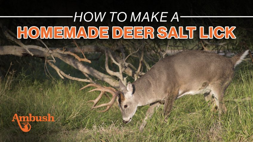 DIY Homemade Deer Salt Lick Ambush Hunting Blinds