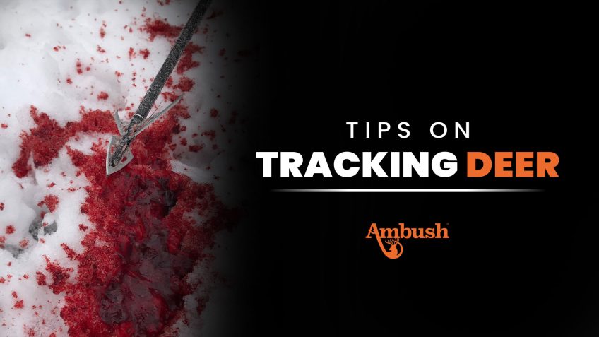 10 Tips for Tracking Deer - Ambush Hunting Blinds